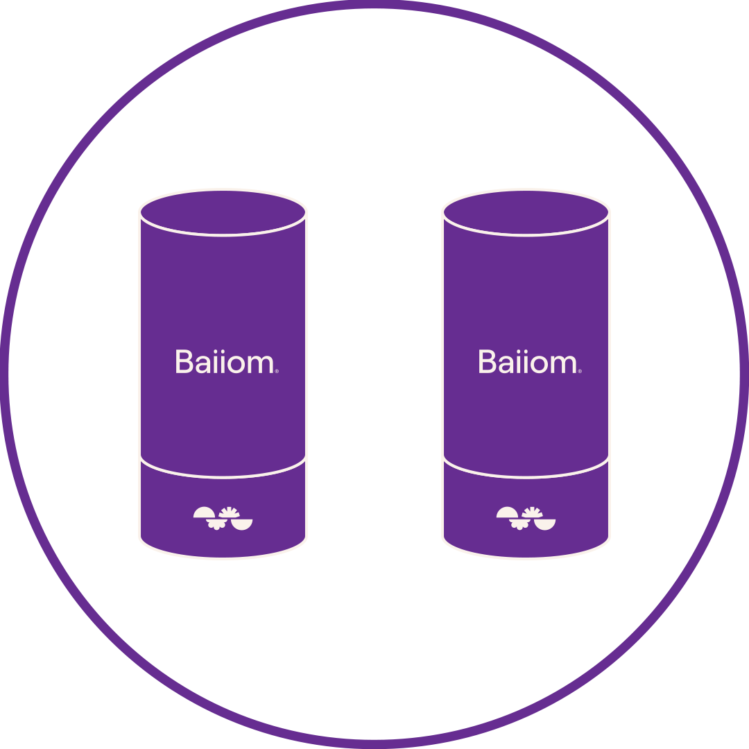 Probióticos + Prebióticos (Personal 60 días/ 2 sobres de 30) – Baiiom
